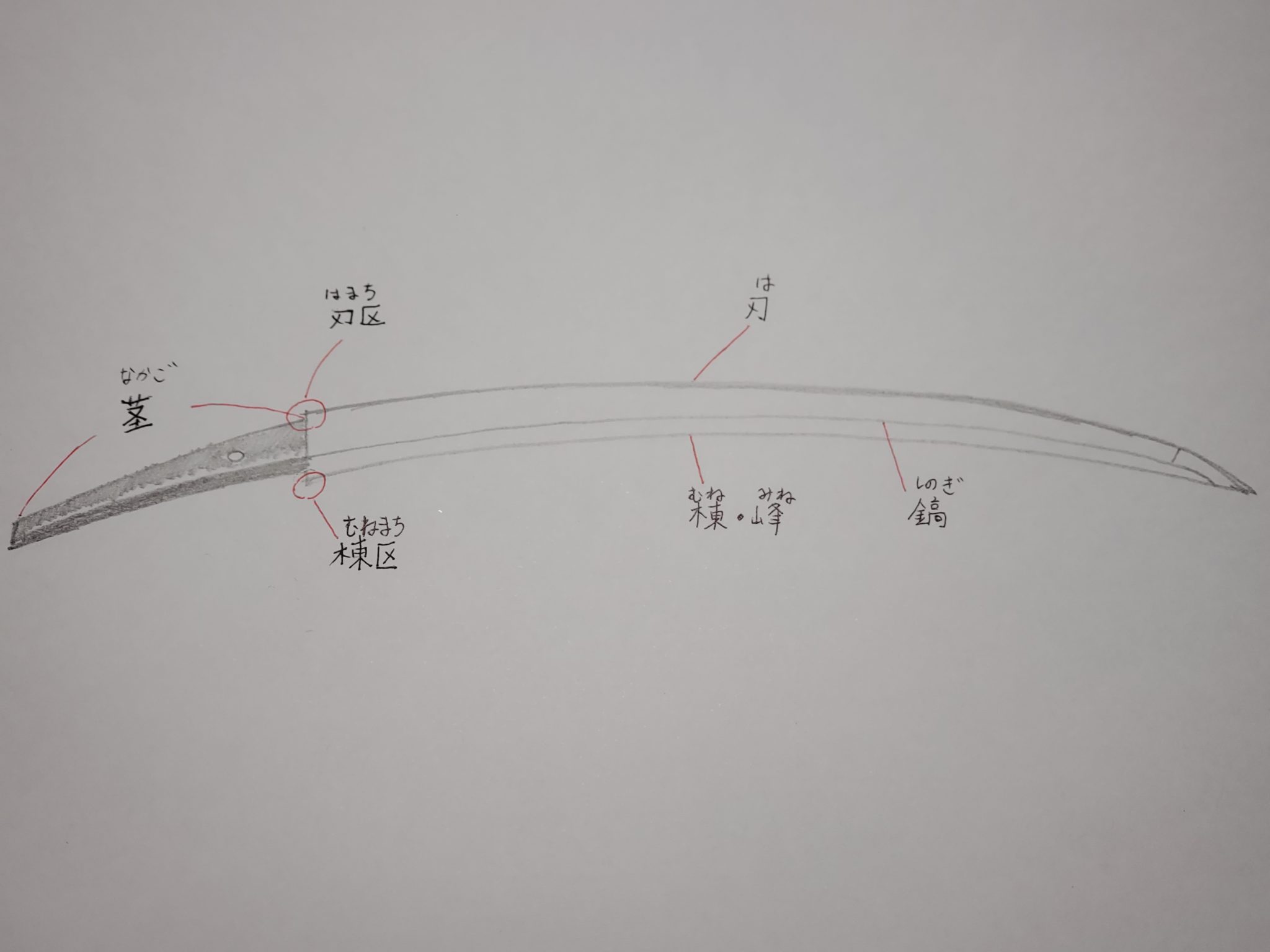 The name of each part of the sword! [Blade] | SAMURAI EXPERIENCE in TOKYO